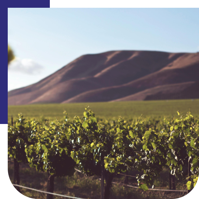 INDUSTRIAL CHEMICALS AND TOLLING – Kendon Chemicals