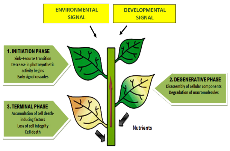 News – Kendon Chemicals