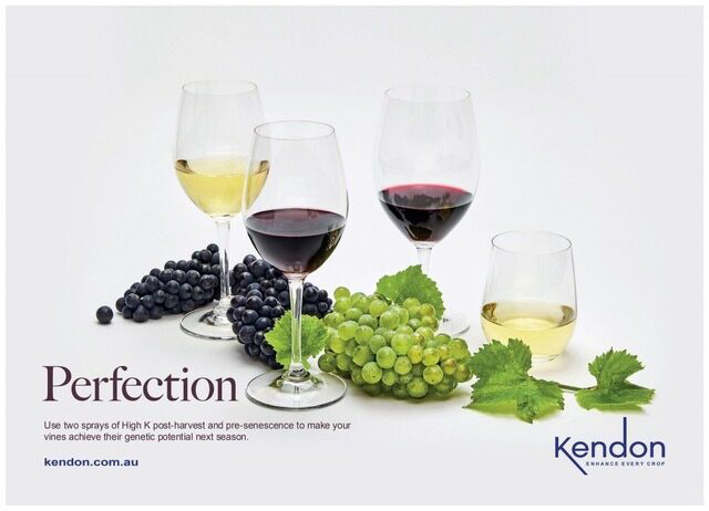 Kendon Chemicals